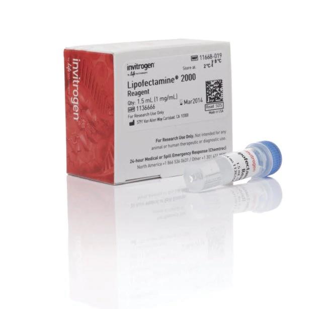 Lipofectamine™ 2000 Transfection Reagent - TAQKEY Science 德怡科技